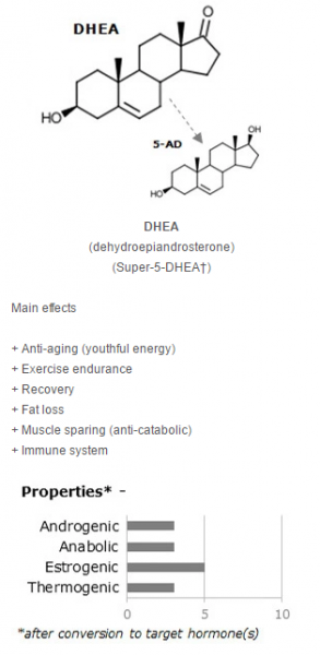Andro Shred – Muscle Gelz Topical Enhancement